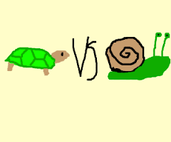 The Tortoise and the Snail – Jo Anne Harris Rowland